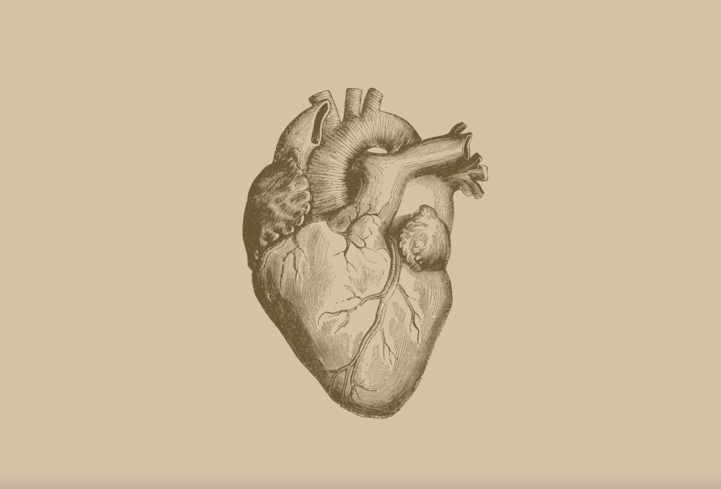 The Heart Harvard Medicine Magazine